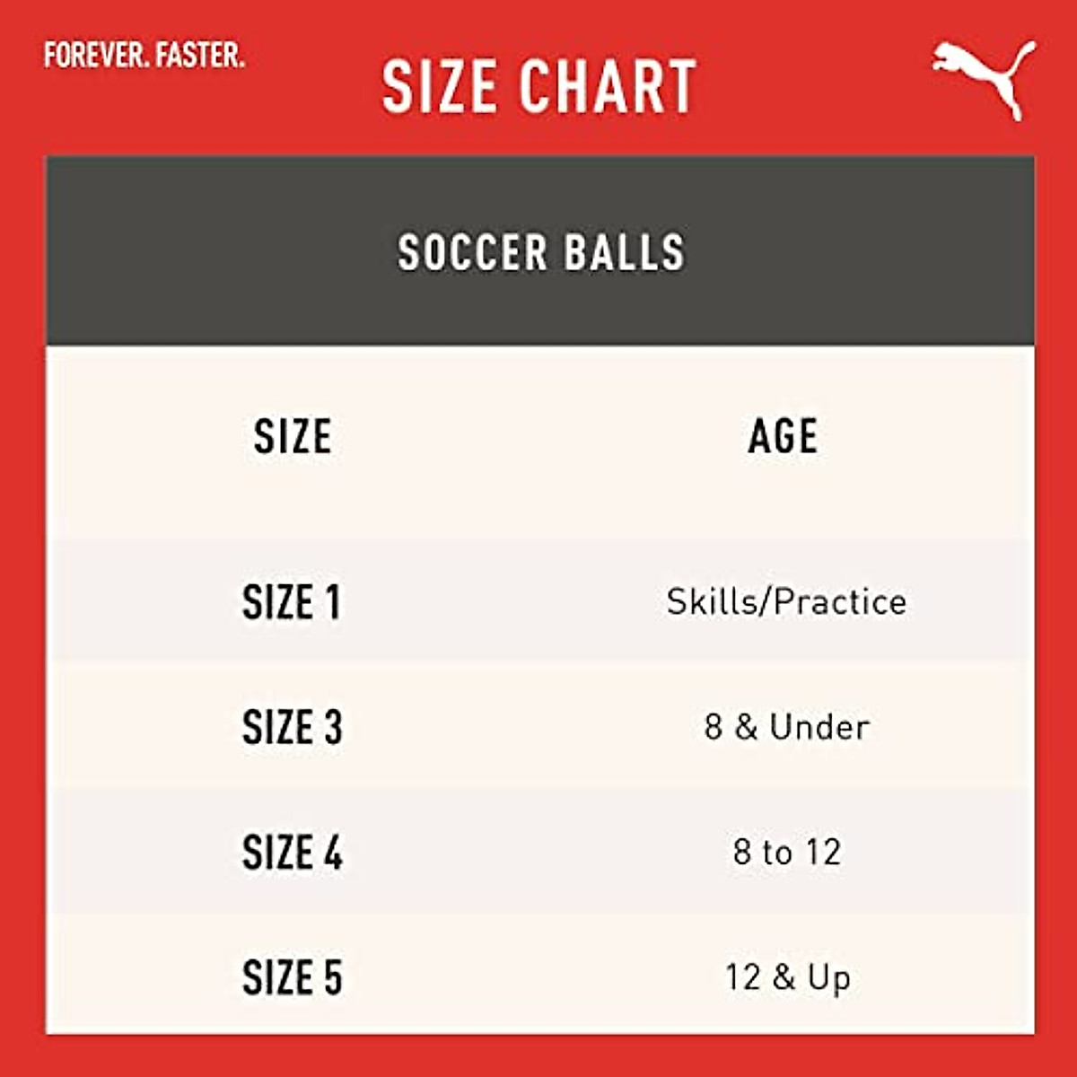 teamFINAL 21.2 FIFA Quality Pro Soccer Ball,1 pc