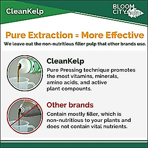 Organic Liquid Seaweed and Kelp Fertilizer Supplement by Bloom City Gallon, (128 oz) Concentrated Makes 750 Gallons