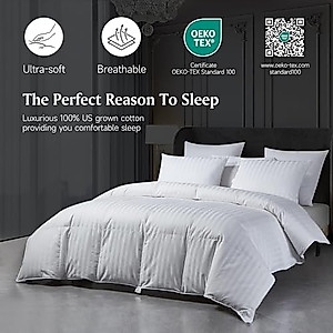 Beautyrest US Grown Cotton All Seasons Warmth Exceptional Hungarian White Goose Down Comforter King Size-750 Fill Power 500TC Damask Stripe Fabric