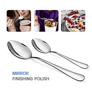 Teivio 24 Piece Silverware Set, Flatware Utensils Set Mirror Polished, Dishwasher Safe Service for 4, Include Knife/Fork/Spoon/Steak Knife/Wire Mesh Steel Cutlery Holder Storage Trays (Black Tray)