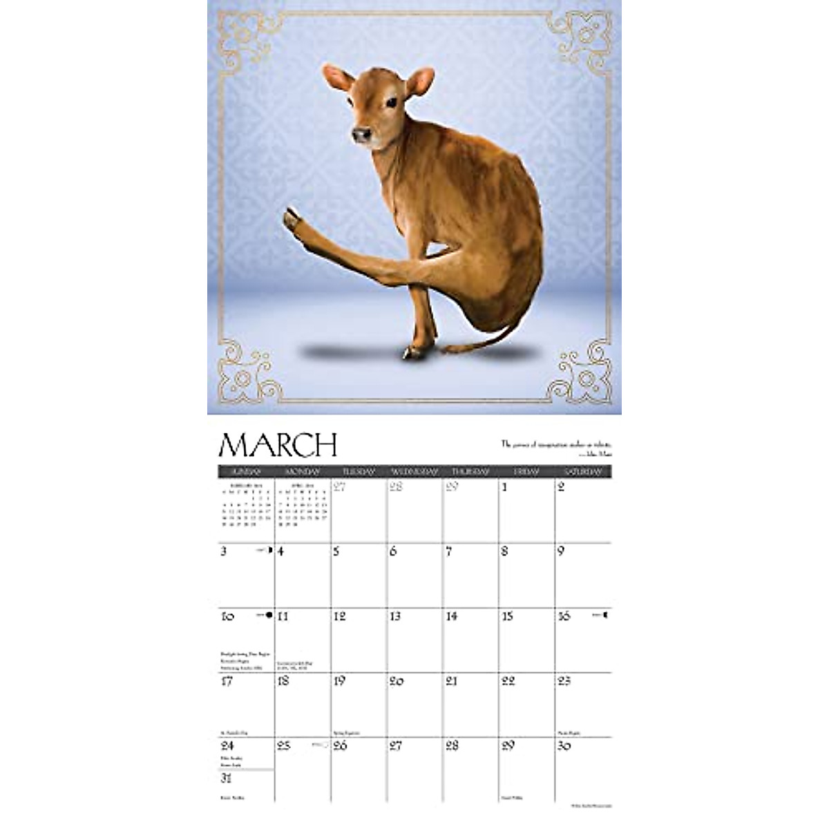 Willow Creek Press Cow Yoga Monthly 2024 Wall Calendar (12" x 12")