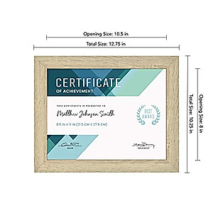 MCS Studio Gallery Document Frame, Certificate Frame Fits 8.5 x 11 Diplomas, Documents & Certificates, Natural Woodgrain, Single
