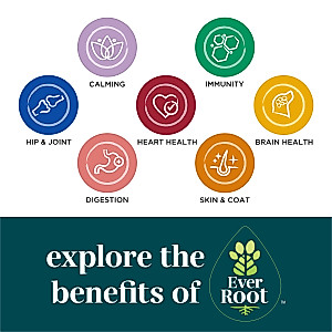 EverRoot Dog Supplements Powered by Purina Immunity Chewable Tablet with Spirulina and Antioxidants - 3.6 oz. Canister