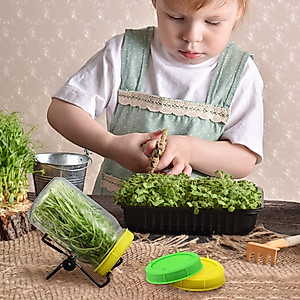 Picowe 4 Pack Sprouting Stands for Wide and Regular Mouth Mason Jars Canning Jars Holder for Sprouting, Stainless Steel