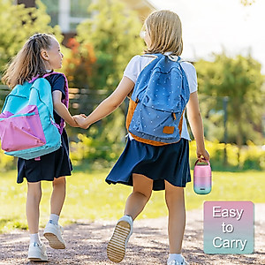 17 oz Insulated Lunch Containers Hot Food Jar, Wide Mouth Lunch Thermo for Kids Adults, Vacuum Stainless Steel Lunch Box With Handle Folding Spoon for School, Office (Blue-Pink)