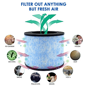 Flintar F100 H13 True HEPA Replacement Filter, Compatible with Instant AP100 Air Purifier, 3-in-1 H13 Grade True HEPA Filter, Part# F100, 2-Pack
