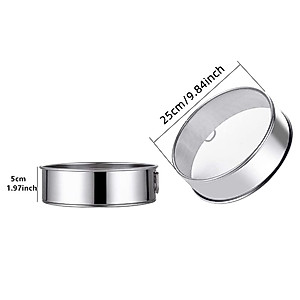 Falytemow Flour Sifter Round Flour Sieve Strainer with 40 Mesh Premium Rustproof Stainless Steel Fine Mesh for Baking 9.84inch x 1.97inch (25cm x 5cm)