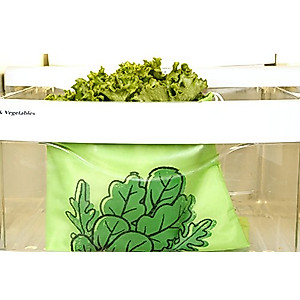 Kikkerland Polyester Lettuce Bag, Green