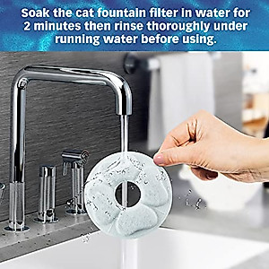 PET STANDARD Water Filters, Compatible with Kastty® 101oz/3L Fountain, Pack of 12