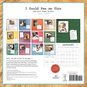 I Could Pee on This 2021 Wall Calendar: (Funny Cat Calendar, Monthly Calendar with Hilarious Kitty Pictures and Poems)
