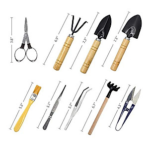 FALIDI Bonsai Set 10 PCS-Mini Gardening Tools Kit for Indoor Outdoor Bonzai Include Pruner, Fold Scissors, Mini Rake, Tweezers, Cleaning Brush