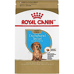 Royal Canin Breed Health Nutrition Dachshund Puppy Dry Dog Food, 2.5 lb