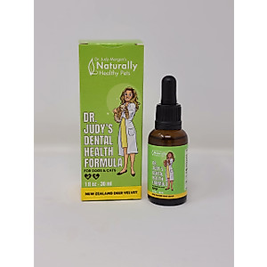 Dr. Judy Morgan's Dental Health Formula for Dogs & Cats, 1 fl oz (30 ml)
