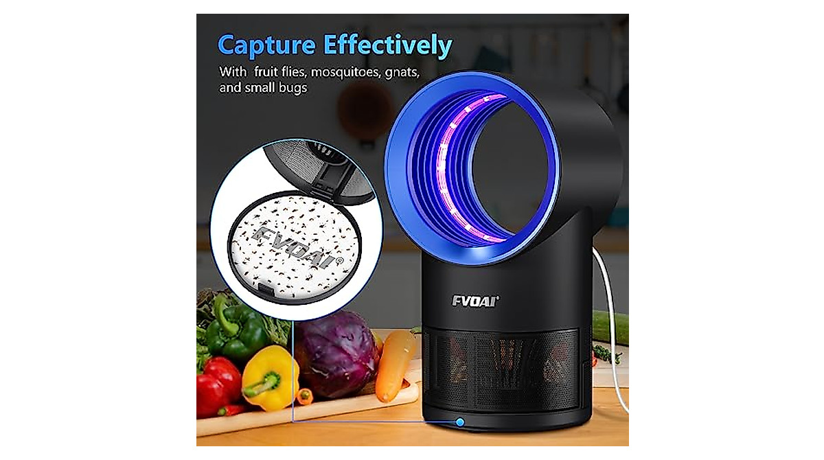 Effective FVOAI Fly Trap for Indoor Bug Control