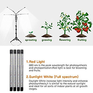 GHodec Grow Light with Stand, 80 LED 5500K Full Spectrum Floor Plant Light for Indoor Plants Growing,5 Dimmable Levels & Auto On/Off Timer,Tripod Stand Plant Lamp Height Adjustable