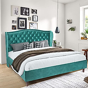 QHITTY Queen Size Bed Frame, Modern Velvet Button Tufted Upholstered Platform Bed with Nailhead Trim Headboard, Wood Slat Support, Easy Assembly, No Box Spring Needed