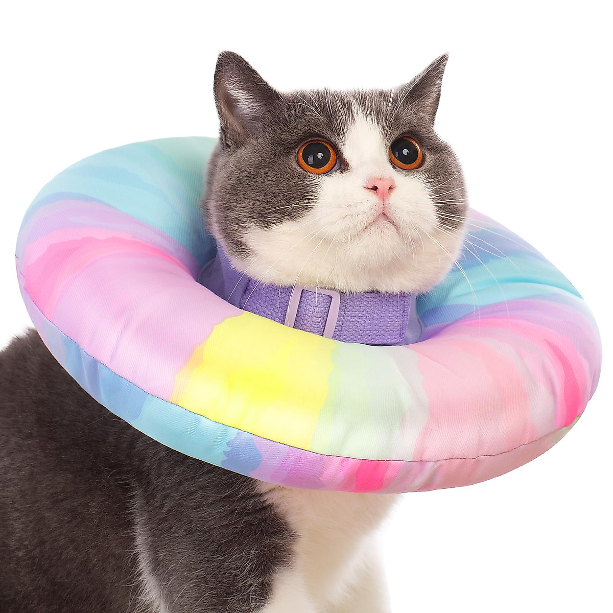 EWES Cat Cone Collar Soft M Size Alternative Neck Cones to Stop Licking for Cats Dogs Kitten Comfy Elizabethan Collars After Surgery Neuter Cat Dog Donut Collar for Pet e Collar Recovery Shame