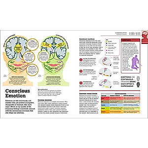 How the Brain Works: The Facts Visually Explained (DK How Stuff Works)