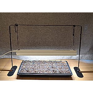 iGrowtek 2ft Grow Light for Seed Starting,LED Grow Lamp for Indoor Plants,Seedling Grow Light with Stand,Seed Starter Light Kit with Natural White Spectrum,Height Adjustable,Iron Frame,ON-Off Switch