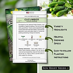 Sow Right Seeds - National Pickling Cucumber Seeds for Planting - Non-GMO Heirloom Seeds with Instructions to Plant and Grow a Home Vegetable Garden, Great Gardening Gift (1)