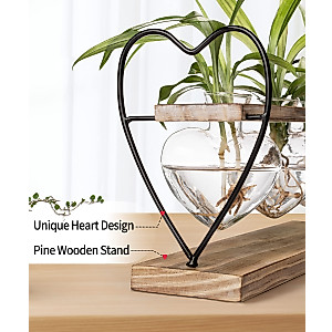 Sapowerntus Heart Propagation Stations, Cute Plant Terrarium Wooden Stand Love Glass Vase, Hydroponic Air Plants Desk Office Garden Mother Gift Decor for Women Plant Lover, 3 Heart Vase