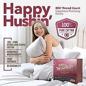 TEXAS LINEN CO. Egyptian Cotton Queen Sheet Set, 800 TC 4 PC Silver Grey Egyptian Cotton Sheets for Queen Size Bed, Extra Long Staple Cooling Sheets, Luxury Hotel Sheets, Deep Pocket Queen Sheets Set