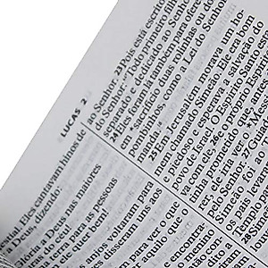 Bíblia Sagrada Letra Grande - Preta - SBB