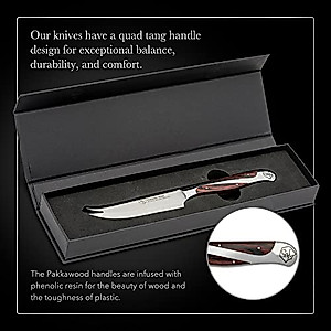 Hammer Stahl Bar Knife | Professional Bartender Knife for Garnishing, Cocktail Crafting & Citrus Peeling | High Carbon Stainless Steel Citrus Knife | Ergonomic Quad-Tang Pakkawood Handle & Gift Box
