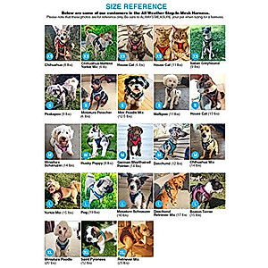 Voyager Step-In Air Dog Harness w/ Leash - All Weather Mesh Step in Vest Harness for Small and Medium Dogs by Best Pet Supplies - Black, S