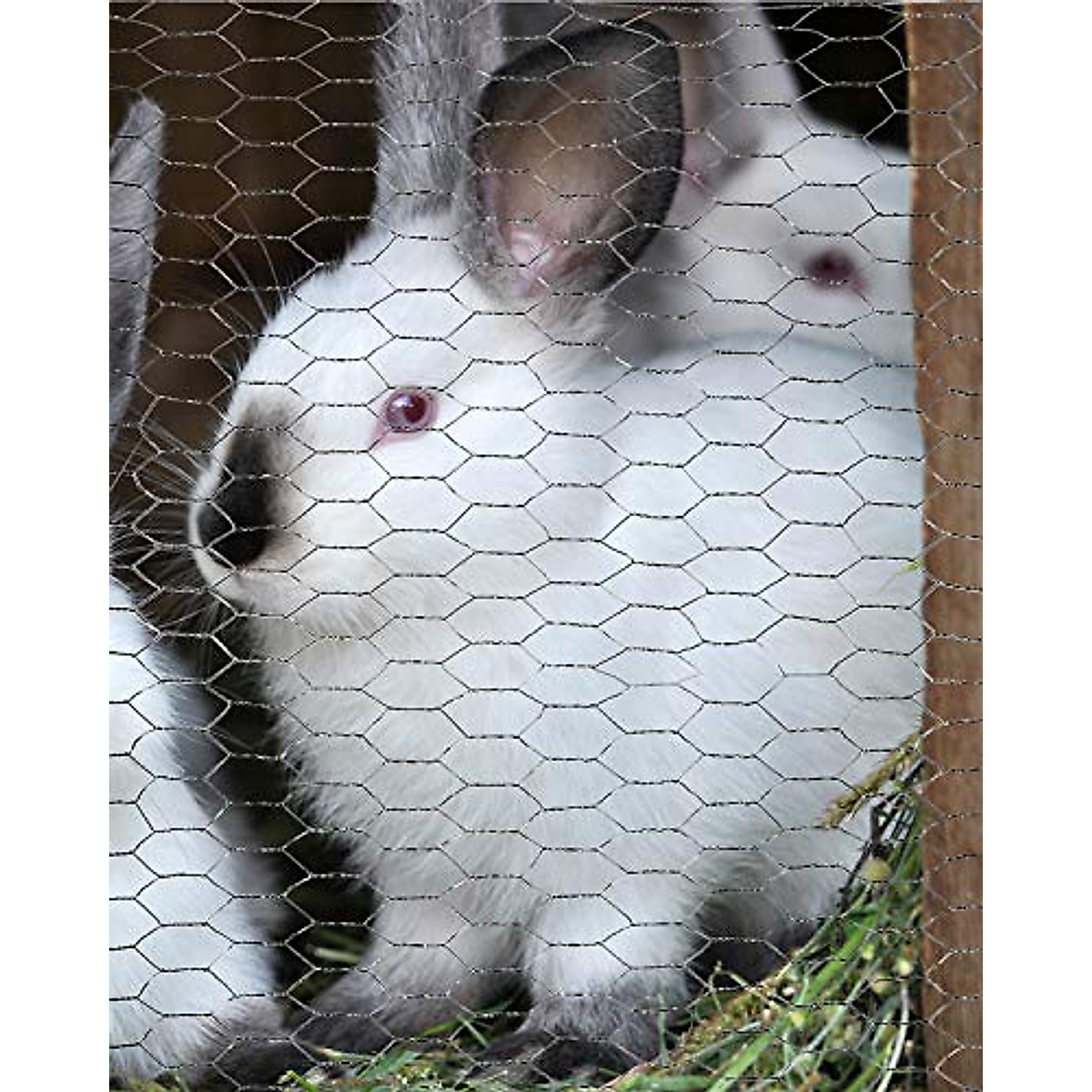 Aboofx Chicken Wire Fencing, 197 x 15.7 inch Floral Chicken Wire Net, Hexagonal Chicken Wire for Garden Poultry, with One Mini Cutting Pliers and 1 Pair Gloves