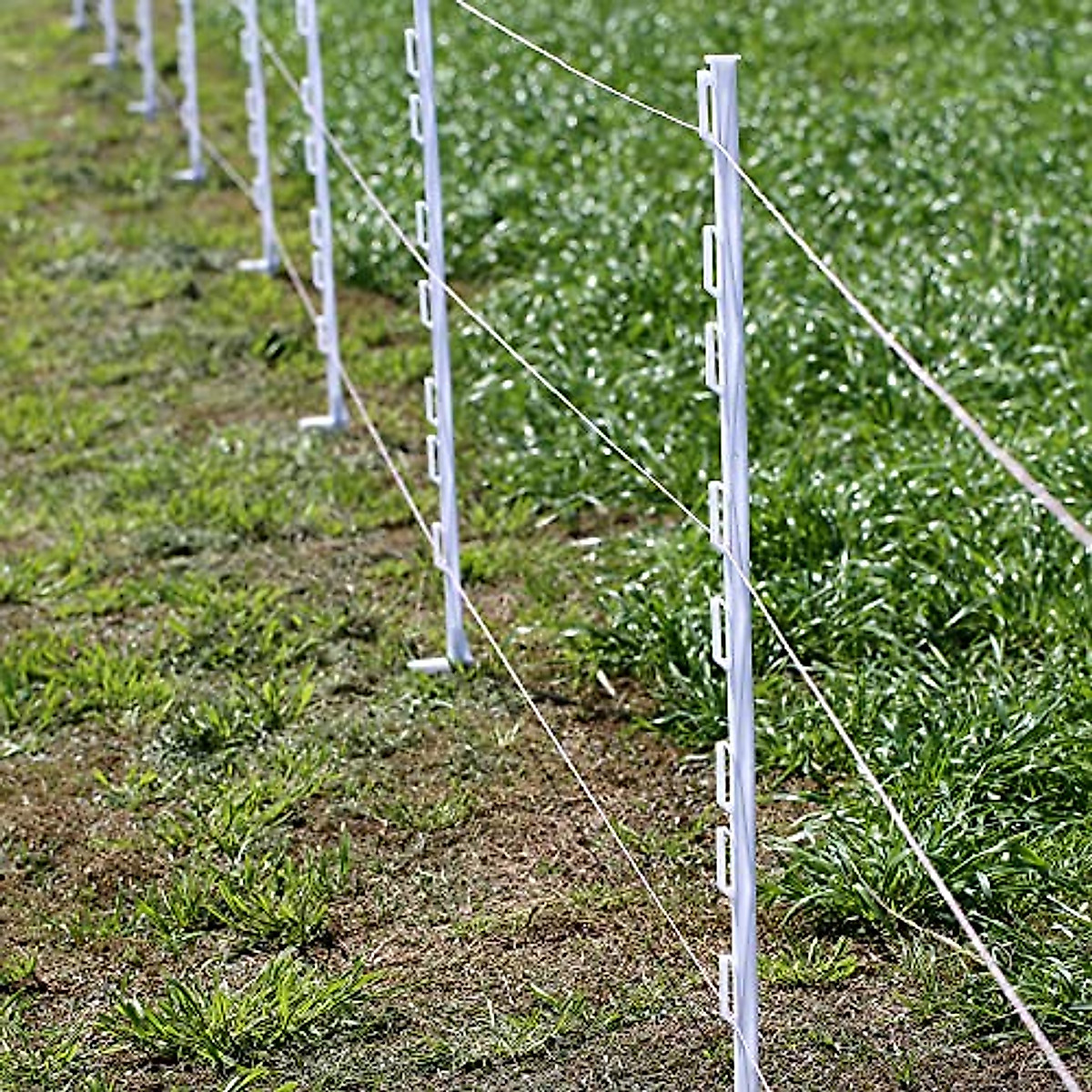 FENCE SHOCK 48Inch Step-in Fence Post-Electric Fence System Post for Garden and Farm（25 Pack）,White