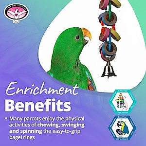 Super Bird Creations SB626 Hoopla Bird Toy, Medium/Large Bird Size, 15" x 2.5"