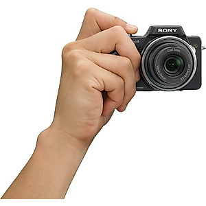 Sony Cyber-shot DSC-H3 8.1 MP Digital Camera with 10x Optical Zoom with Super SteadyShot Image Stabilization