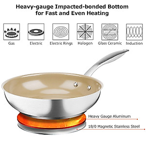 duxtop Ceramic Coating Stainless Steel Induction Frying Pan 9.5inch with Glass Lid