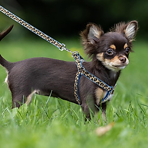 Mile High Life Leopard Dog Harness Collar Leash Set | Adjustable No Pull Dog Halter Harness for Small Breed Dogs | Easy Control for Training Walking | Blue, Medium