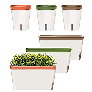 GardenBasix Self Watering Pots Window Box for Indoor Plants Set of 6 Home Garden Modern Decorative Flower Planter for All House Herbs Succulents (6, Tricolor)