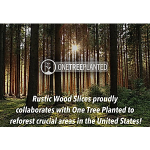 Set of (10) 8-9 inch Wood Slices for centerpieces! Wood Slice centerpieces, Wood Rounds, Tree Slices (8 inch)