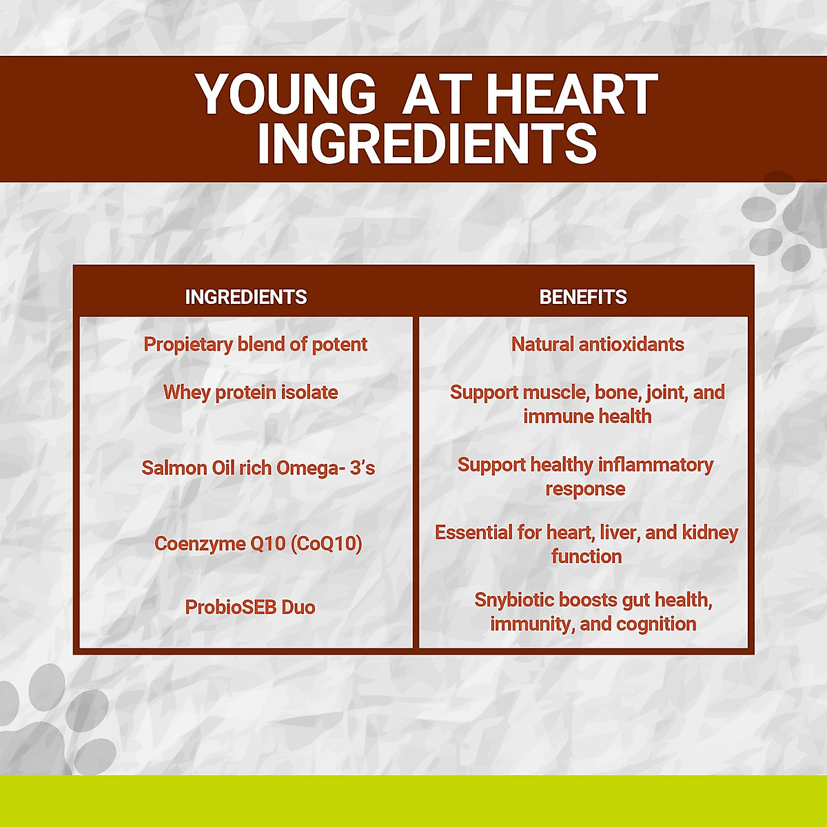 K9 Power Young at Heart Senior Dog Multivitamin 1 lb – Advanced Supplement for Seniors – Supports Brain, Heart, Vision, Joint Health, and Mobility