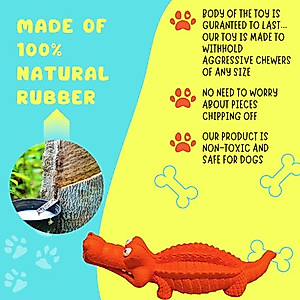 Dog Toys for Aggressive Chewers, Fun Dog Toy for Small, Medium & Large Breed Dogs, Durable Chew Toys That All Dogs & Puppies Will Love, Indestructible Dog Toy with Squeaker