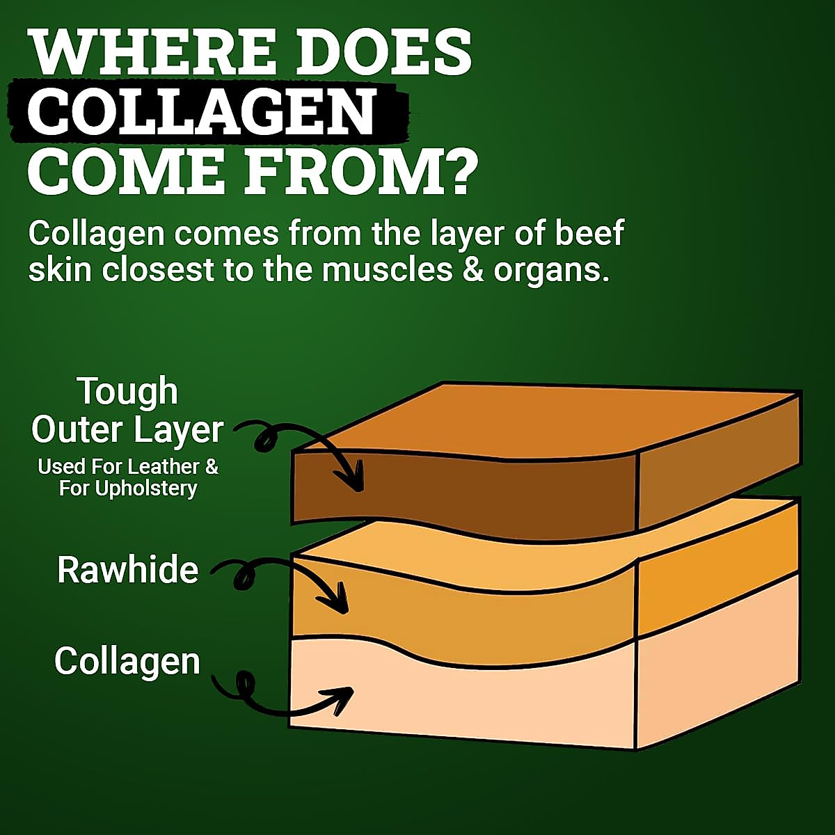 CHEWSAFE Dog Chew Flip Chips Chicken Flavor for Dogs, Pet Chew Treats Satisfy Dogs Natural Desire to Chew, Highly Digestible Snacks Promote Healthy Teeth and Gums, Alternative to Rawhide, 8ct,4” Chips