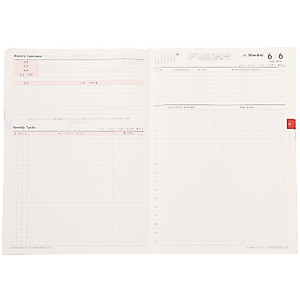 Franklin Planner Organizer, 1 Page a Day Uncovered, January 2022, A5 65393