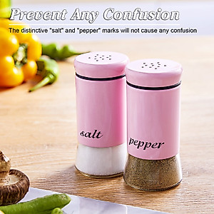 Pink Salt and Pepper Shakers - Pink Kitchen Accessories Decor- 5 oz Glass Salt and Pepper Set for Cooking Table, RV, BBQ, Easy to Clean & Refill