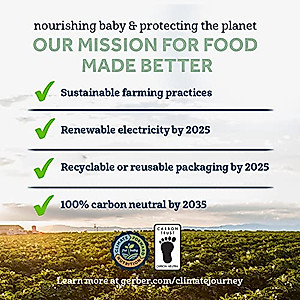 Gerber Baby Food Pouches, Very Berry (3), Peaches & Cream (2), Strawberry Banana (2), Value Pack, Fruit and Yogurt, Toddler, (3.5 oz each), (Pack of 9)