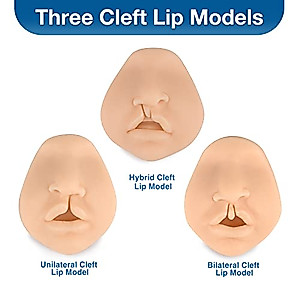Ultrassist Unilateral Cleft Lip Model, Cleft Lip Suture Training Simulator for Medical Students, Education, Display