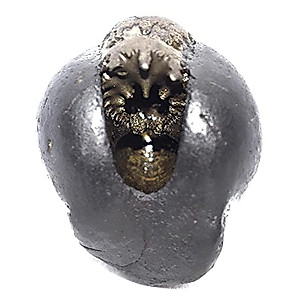 Rudrakshguru Wooden Bhuvaneshwari Shaligram (Black, 2.50 x 2-inch)