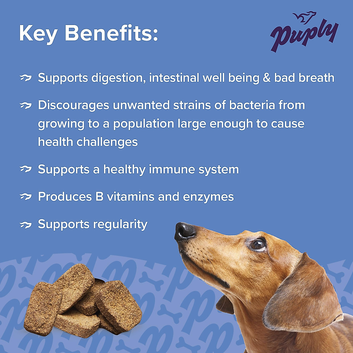 Puply Probiotics for Dogs- Veterinarian-Formulated- Beneficial Prebiotics and Probiotics- Supports Digestive, Immune, Gut Health, Allergy, Diarrhea, Yeast, Itching- Soft Chews- 90 Count- Duck Flavor