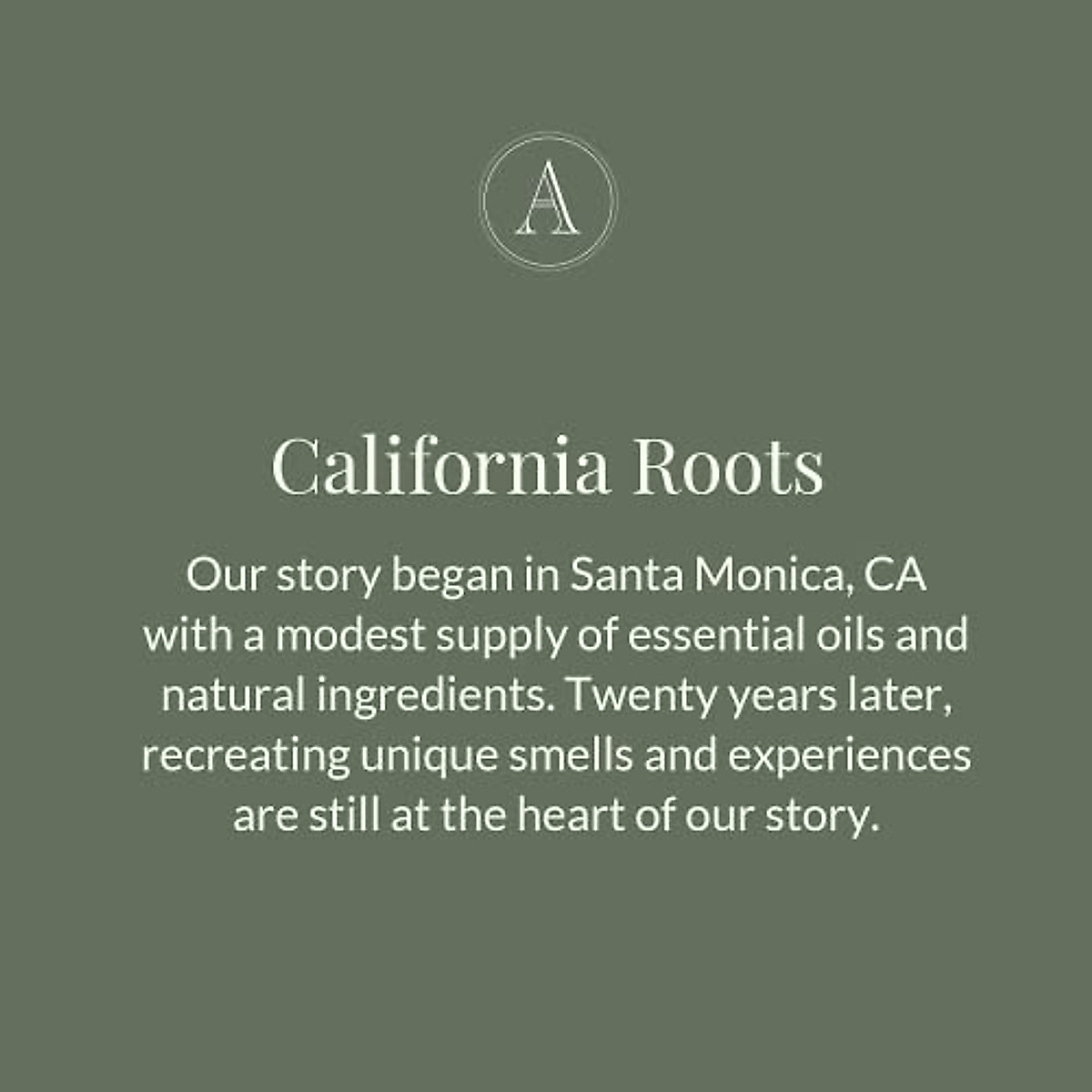 Archipelago Botanicals Morning Mint Body Wash. Stimulating and Cleansing Daily Wash. Free from Parabens and Sulfates (33 fl oz)