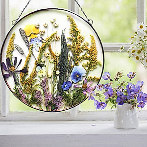 couraged Pressed Flower Ornament Frame, Hanging Acrylic Frame with Pressed Flower, Dried Flower Frame Art Decor, Exquisite Wall Frame Hangings for Home Office Garden