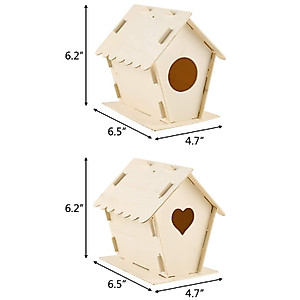 GARDWENS DIY Bird House Kit for Kids, 2 Pack Big Wooden Birdhouse Kits Build and Paint Creative Arts Crafts Hanging Kit Suitable for Girls Boys Age 3-12 Activities Decoration
