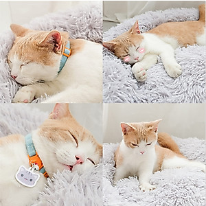 Gavenia Indoor Cat Bed, 20''x20'' Washable Donut, Soft Plush Pet Cushion, Waterproof Dog and Cat Bed for Sleep Improvement, Grey